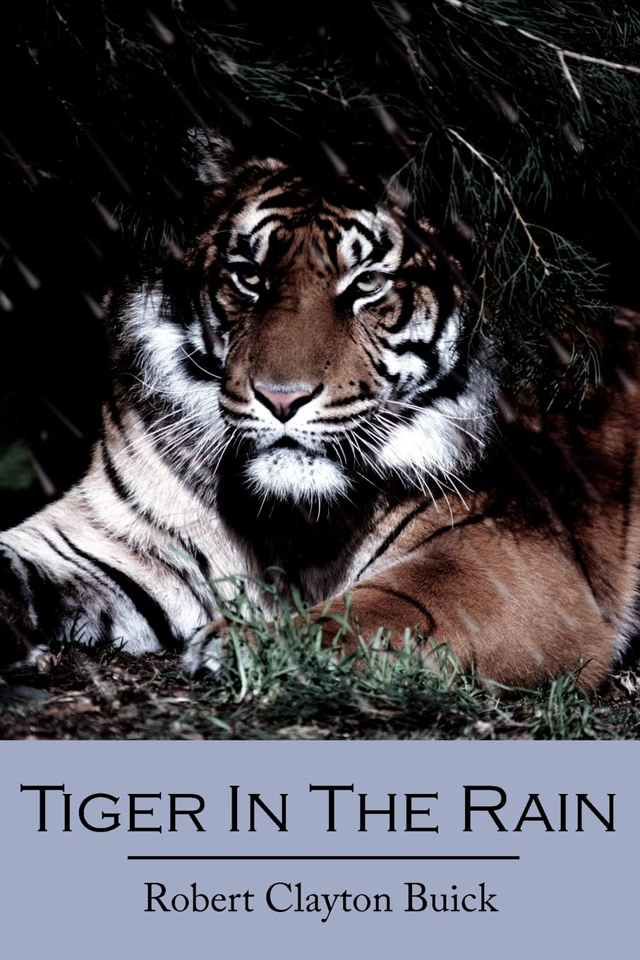 Snapklik.com : Tiger In The Rain