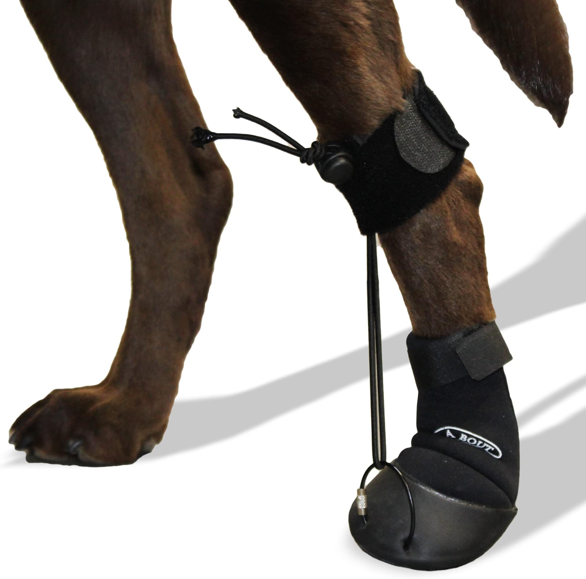 Amazon.com : WALKABOUT™ Toe'sUP No Knuckling Boot Brace for Dogs ...