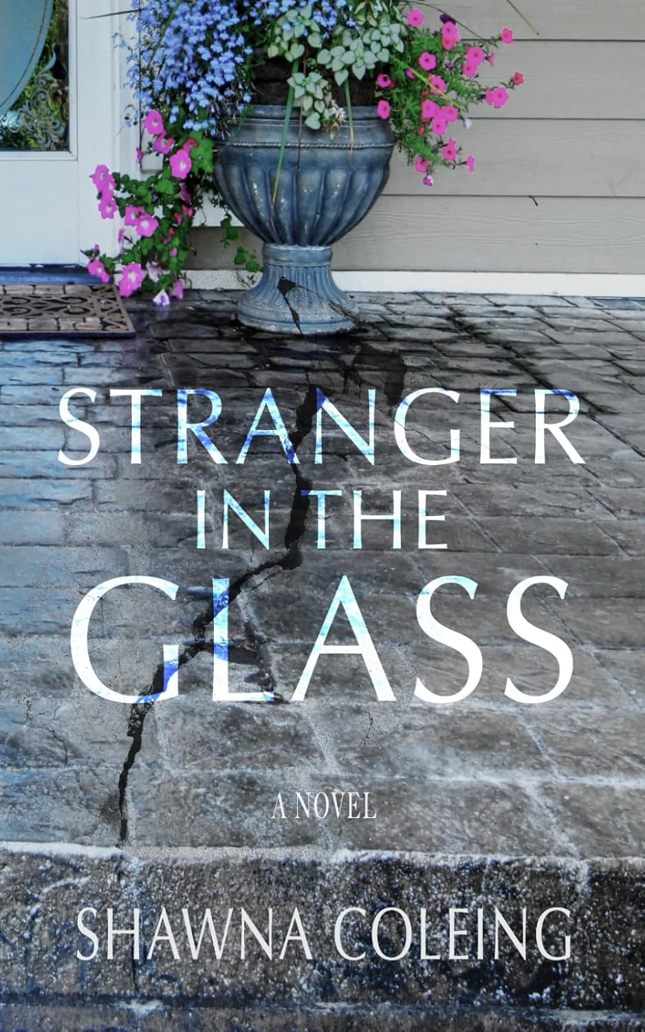 Stranger in the Glass: Contemporary Christian Fiction: Coleing, Shawna ...