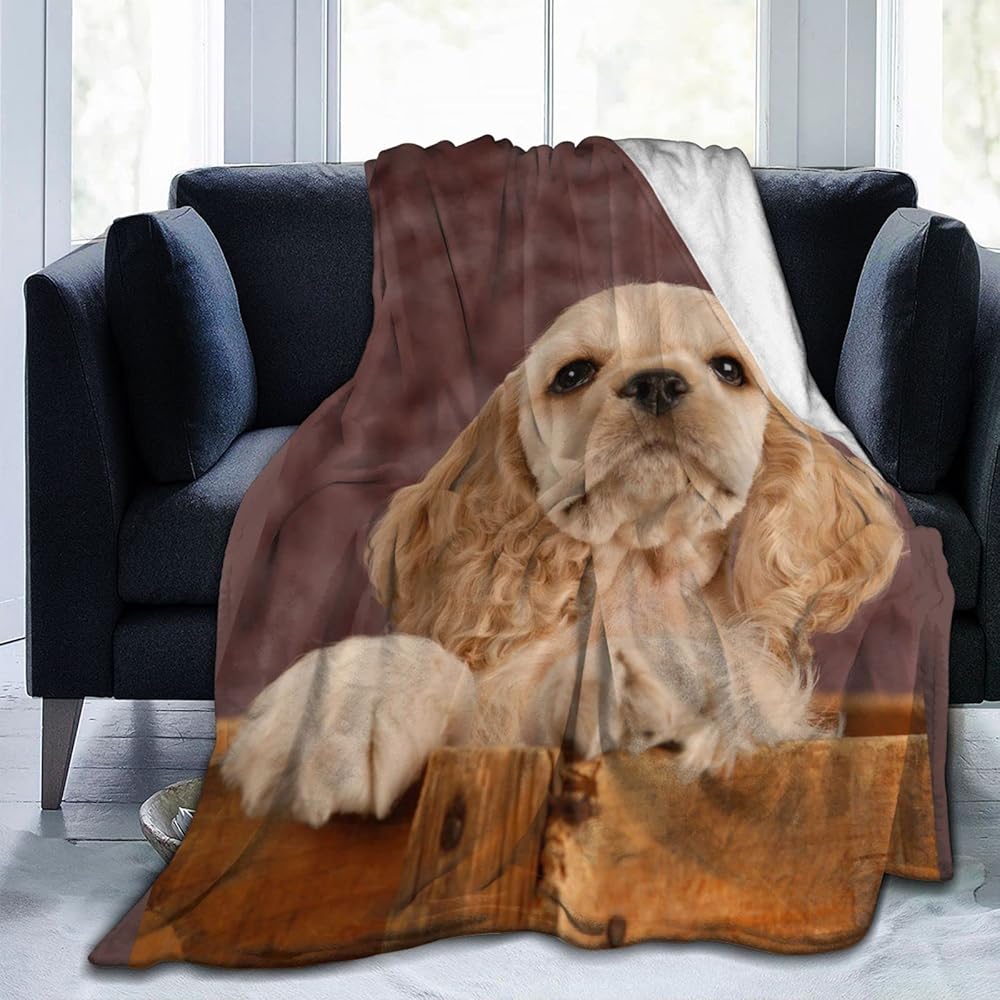 20 Best Gifts for a Cocker Spaniel Owner - iHeartDogs.com