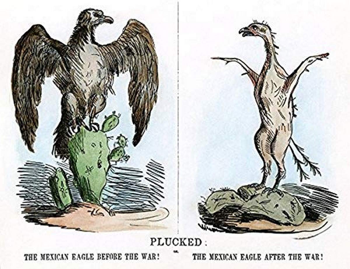 Mexican War Political Cartoon