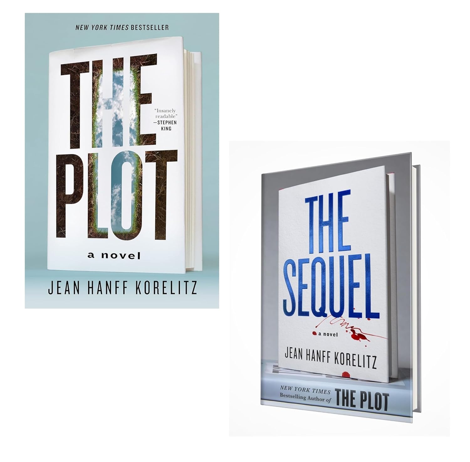 The Book Series 2 Book Set – The Plot and The Sequel: Jean Hanff ...