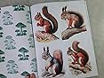 The Cut Out And Collage Book: A Walk in the Forest - Forest Themed ...