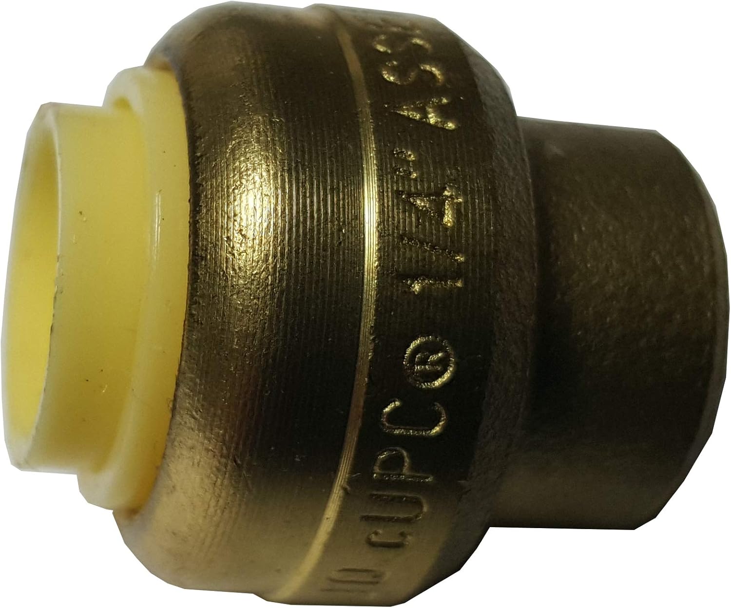 Amazon.com: 10 PIECES XFITTING 1/4" PUSH FIT CAP CERTIFIED TO NSF ...