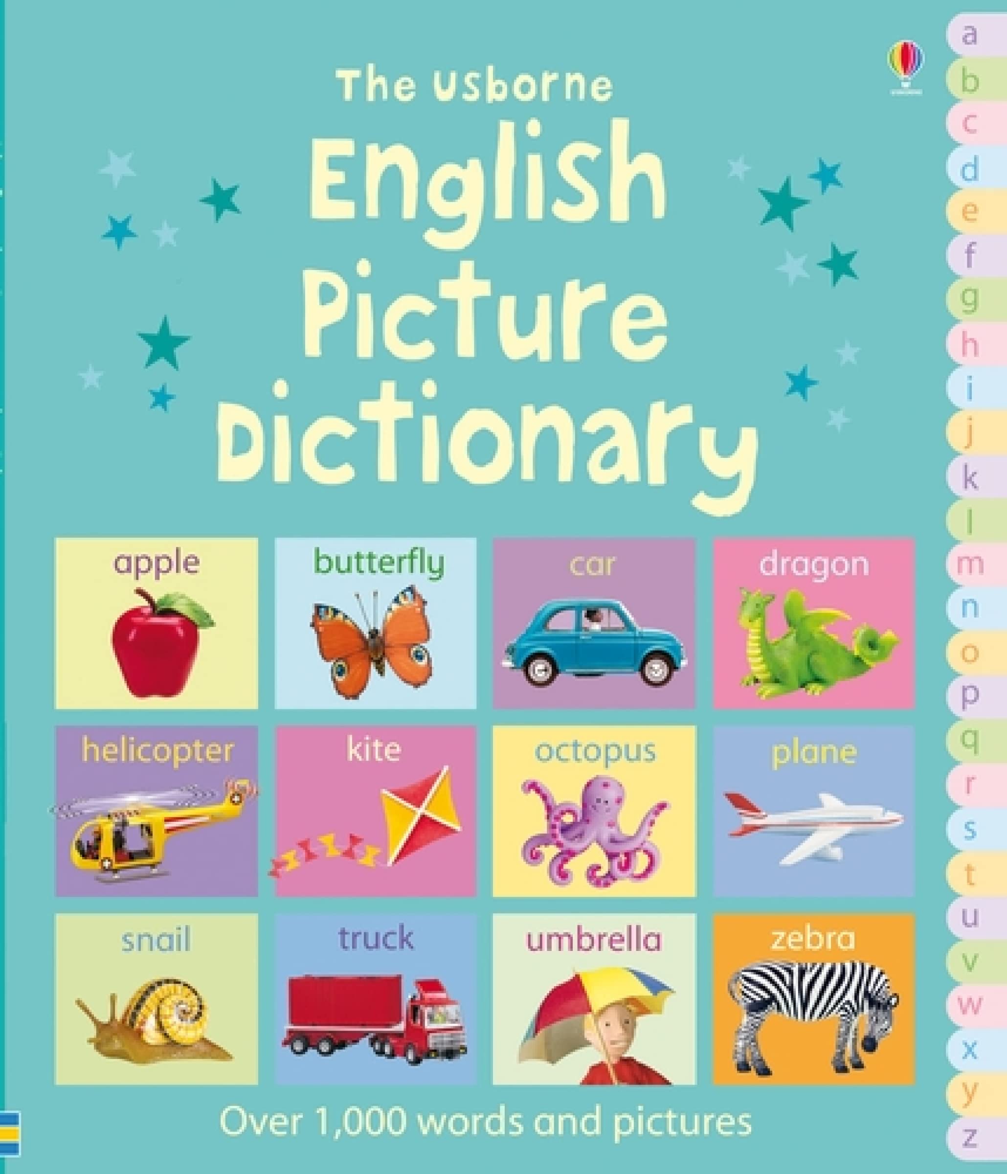 Picture Dictionary: Brooks, Felicity: 9780746070574: Amazon.com: Books