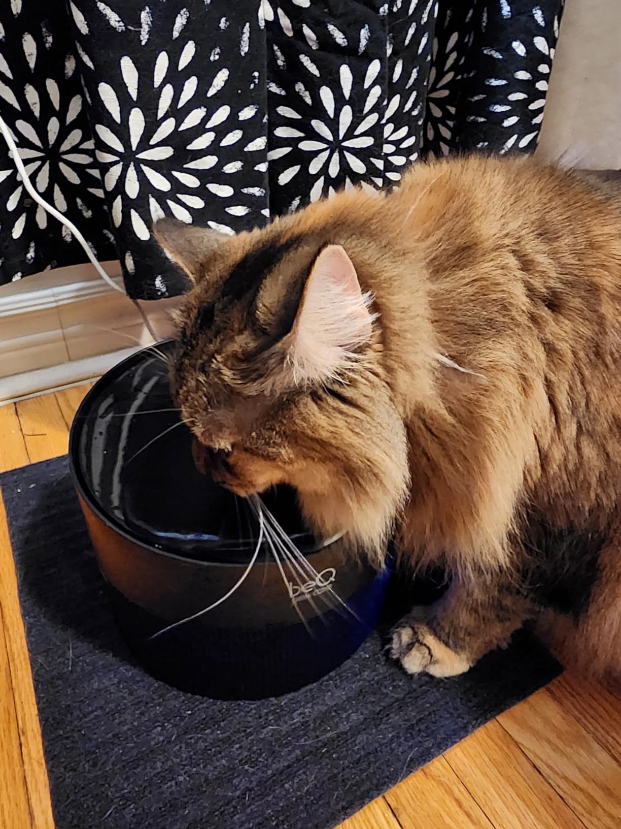 beQ Cat Water Fountain,2.5L/84oz Indoor Ultra-Quiet Pet Water Dispenser ...