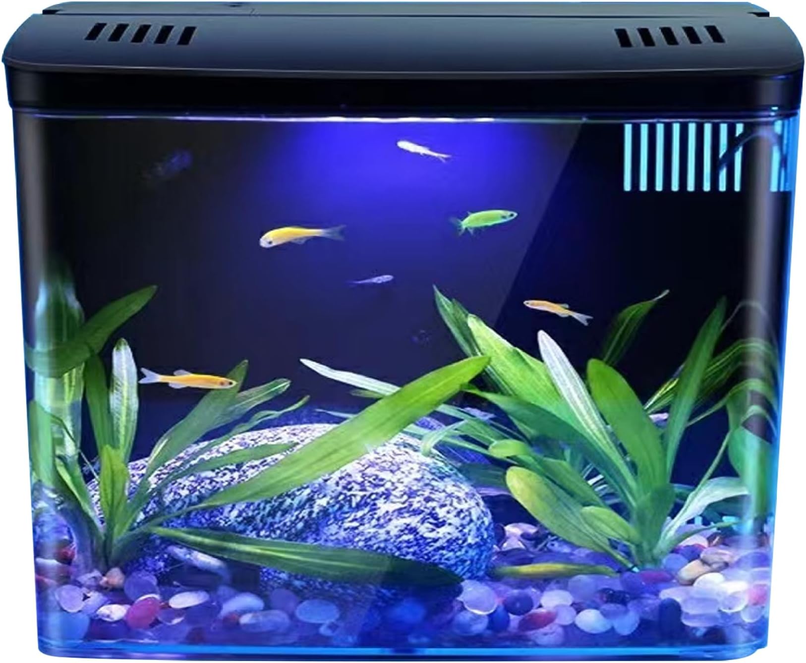 Goldfish Tank,Fish Tank 1.3 Gallon Small Aquarium Clear Aquarium Tank ...