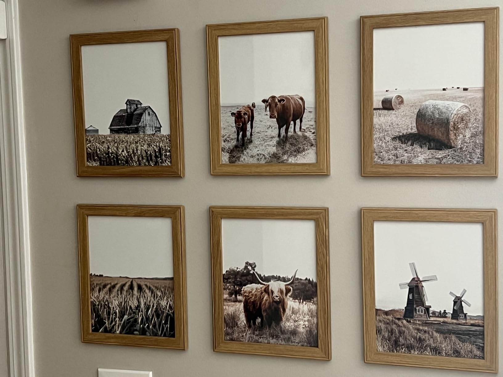 $3/mo - Finance HAUS AND HUES Highland Cow Art and Farmhouse Wall Decor ...