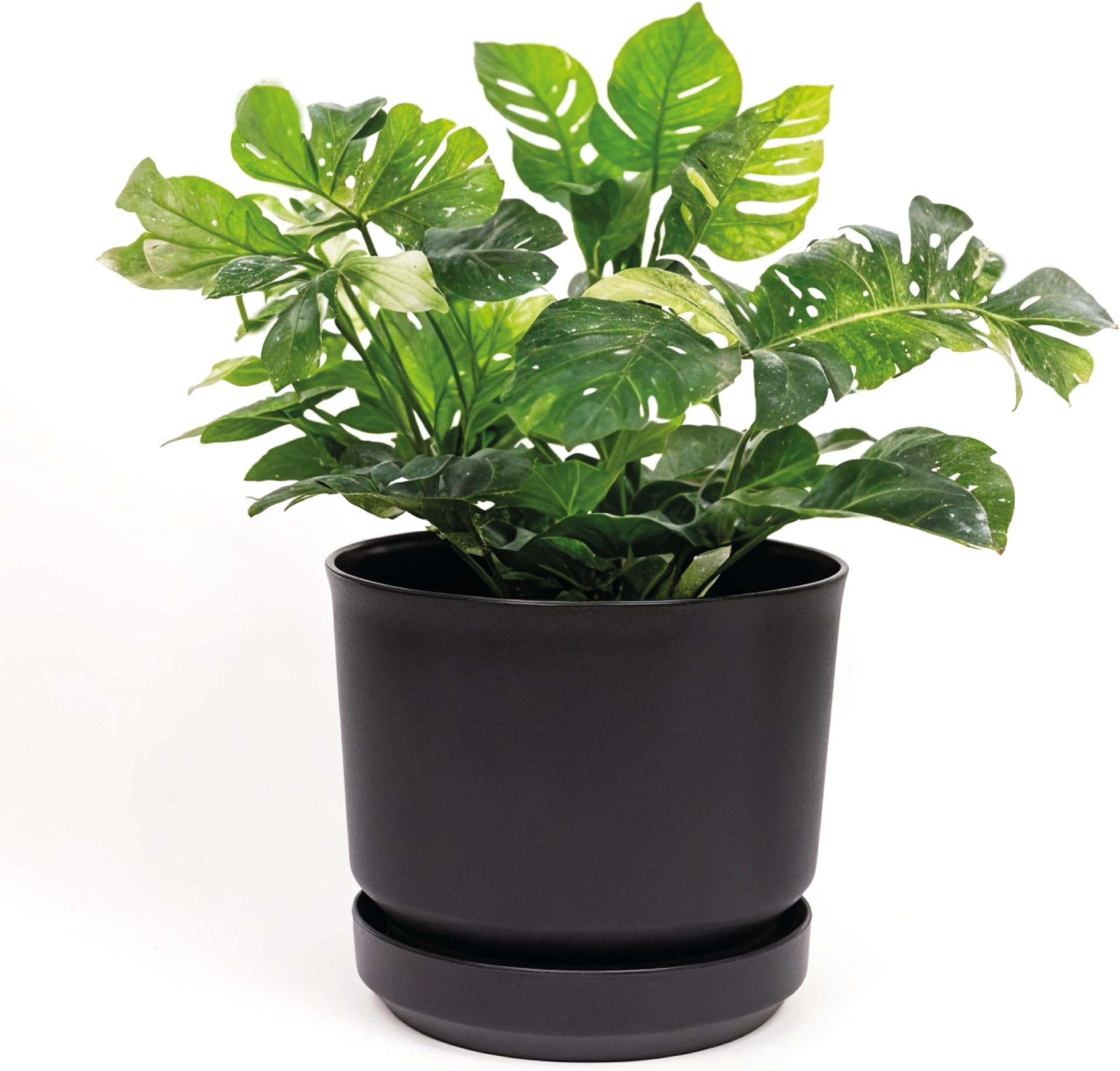 Amazon.com : 6" Self Watering + Self Aerating High Drainage Deep ...