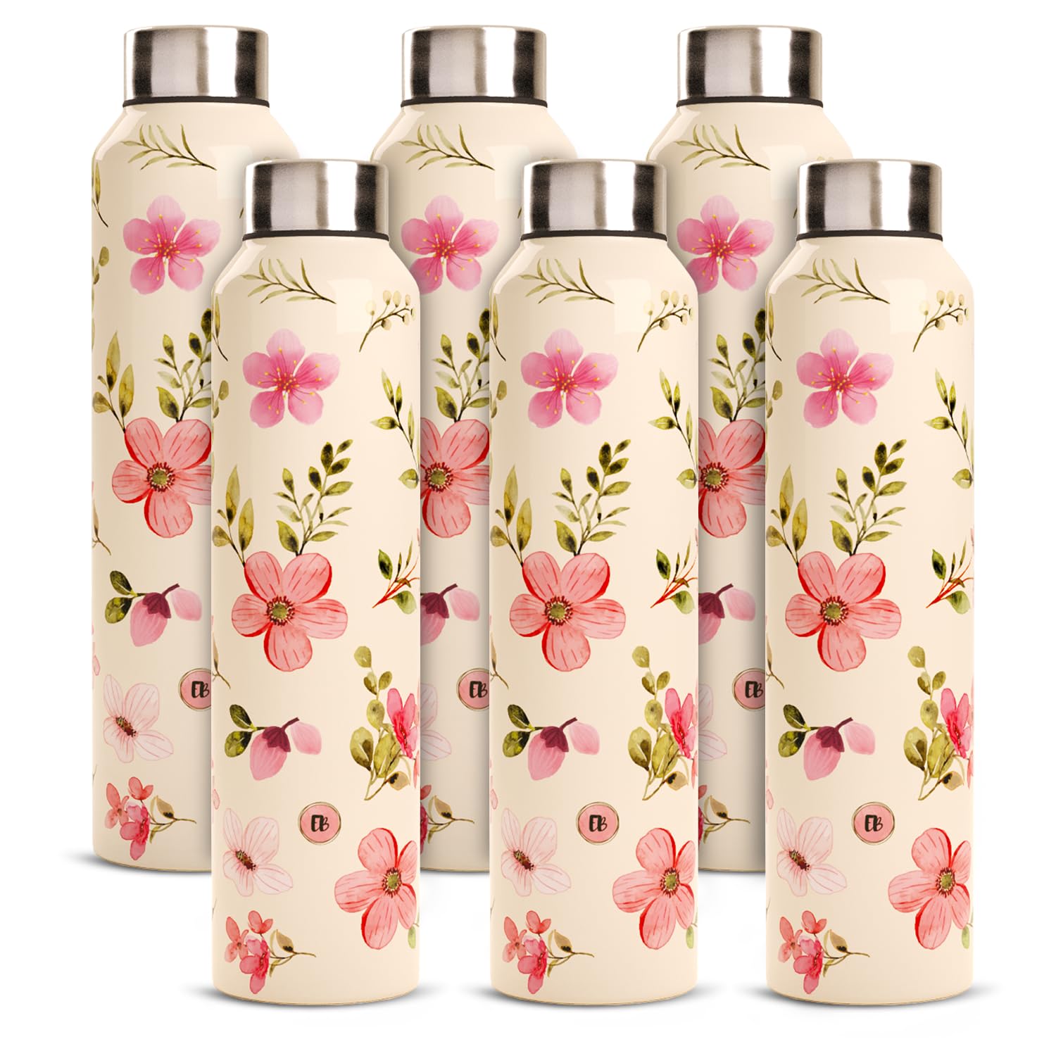 EB-Everything Beautiful Stainless Steel Water Bottle 1 Litre Pack of 6 ...