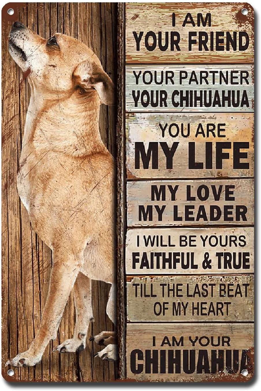 Amazon.com: How to Build A Chicago Style Hot Dog Vintage Tin Sign Logo ...