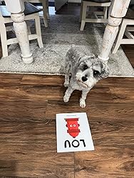 Lou: A Children's Picture Book About a Fire Hydrant and Unlikely ...