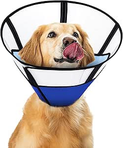 Amazon.com : Supet Dog Cone for Large and Medium Dogs - Comfortable ...