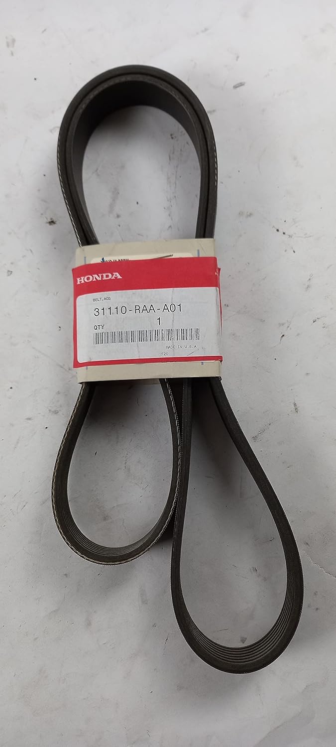 Genuine Honda 31110-RAA-A01 Alternator Belt : Buy Online at Best Price ...