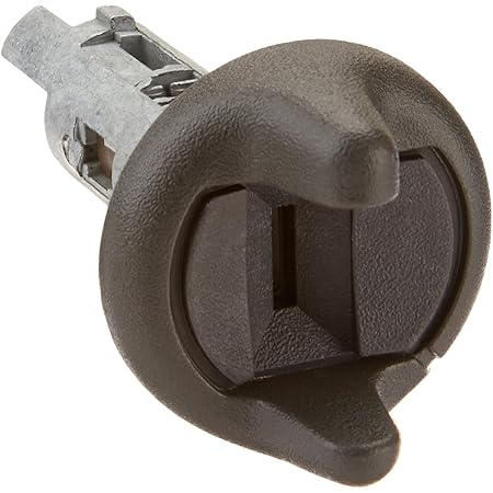 Amazon.com: Genuine GM 88965342 Ignition Lock Cylinder Case : Automotive