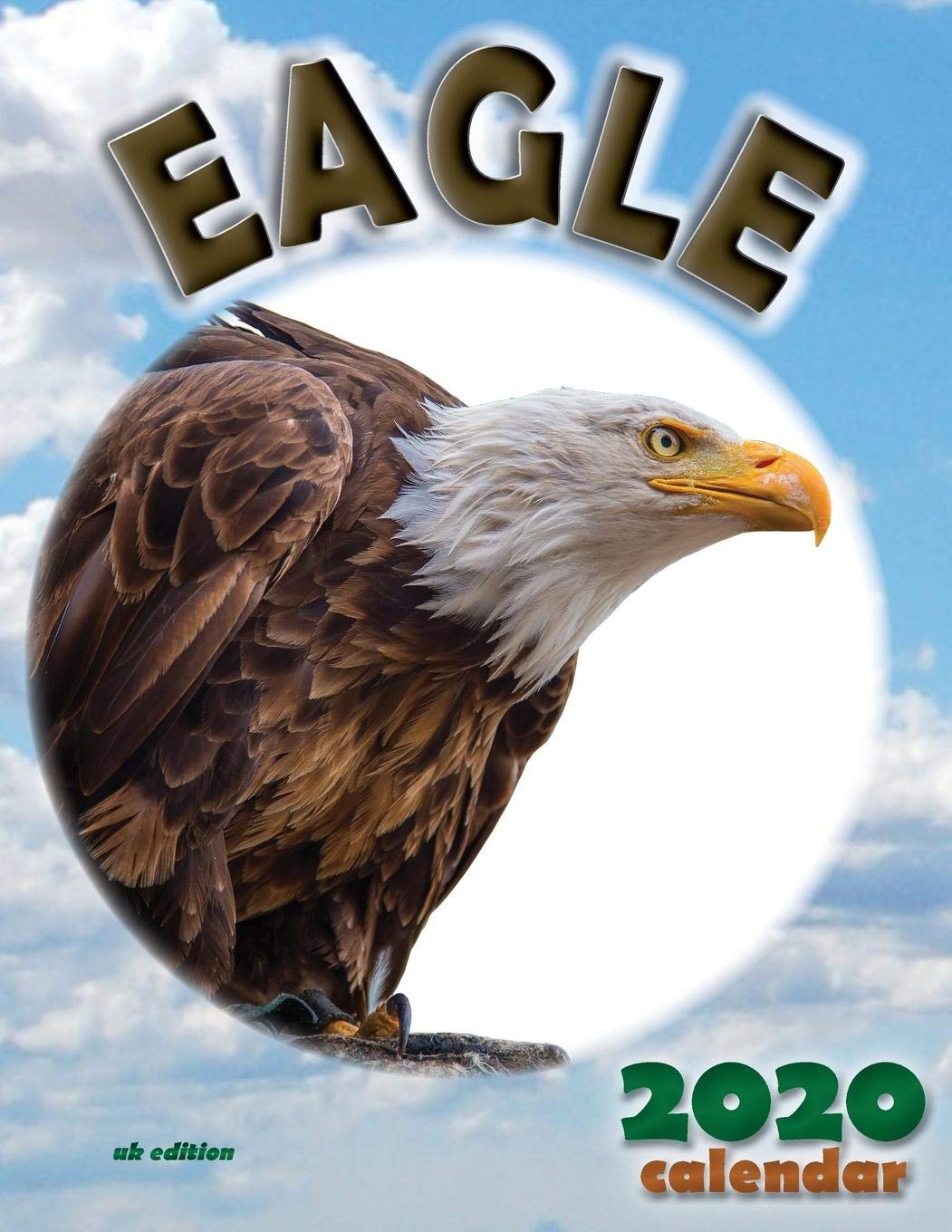 Eagle 2020 Calendar: Wall Craft Calendars: 9781642524888: Amazon.com: Books