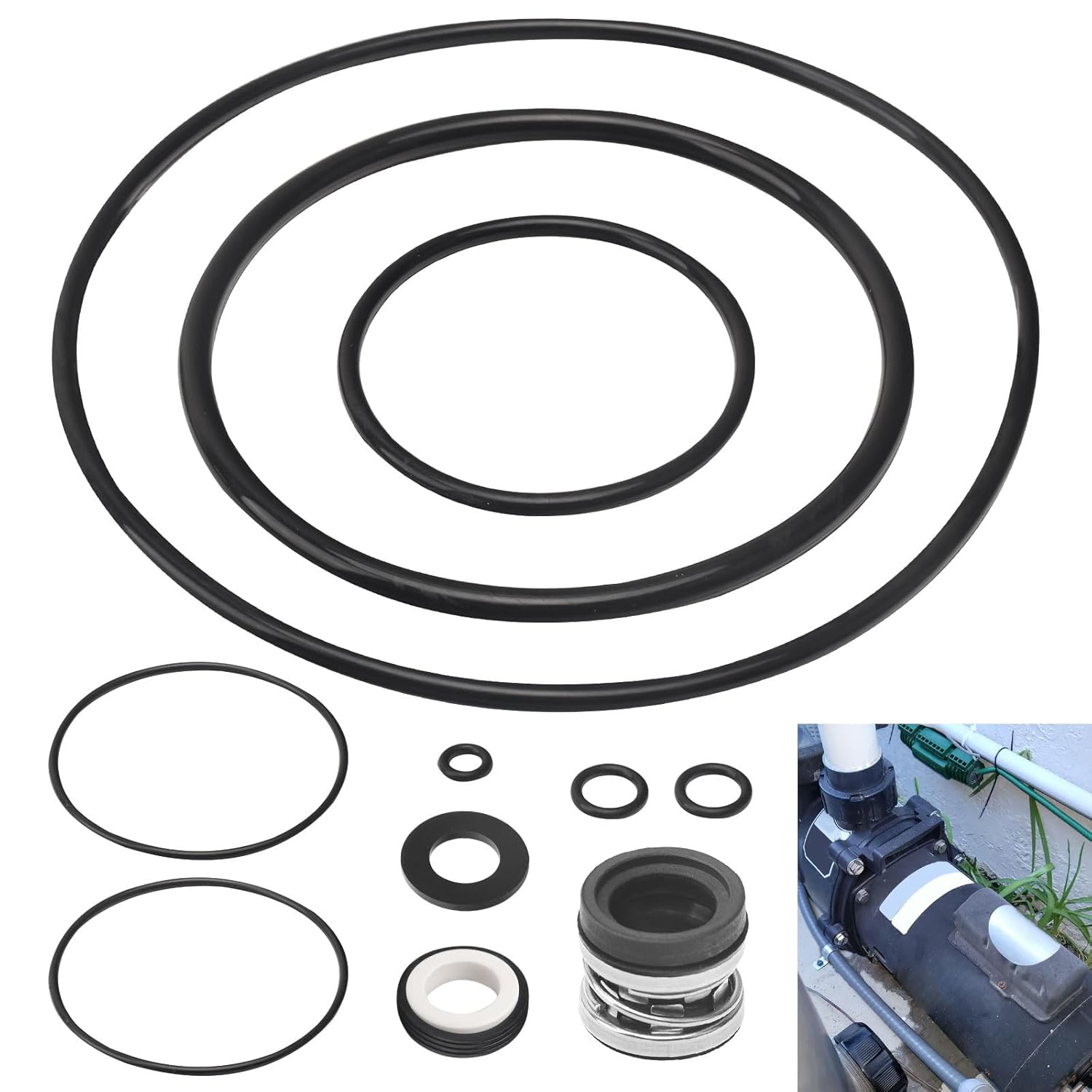 Amazon.com: Fennoral O-Ring Rebuild Repair Kit for Jandy Zodiac FHPF ...