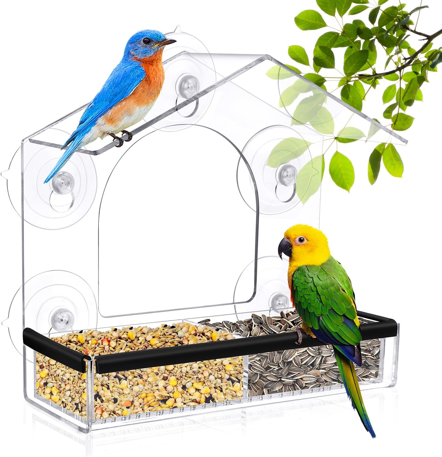Amazon.com : Fabulas Window Bird Feeder, Strong Suction Cups Window ...