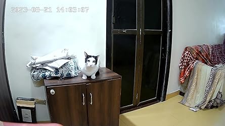 PHILIPS 3MP Wi-Fi Indoor 360 Degree Security Camera | CCTV for Home ...