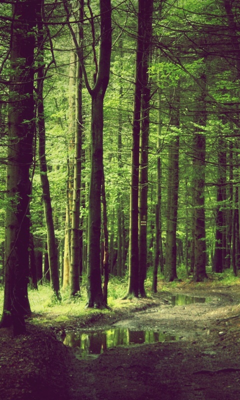 Art Simulator - App on Amazon Appstore