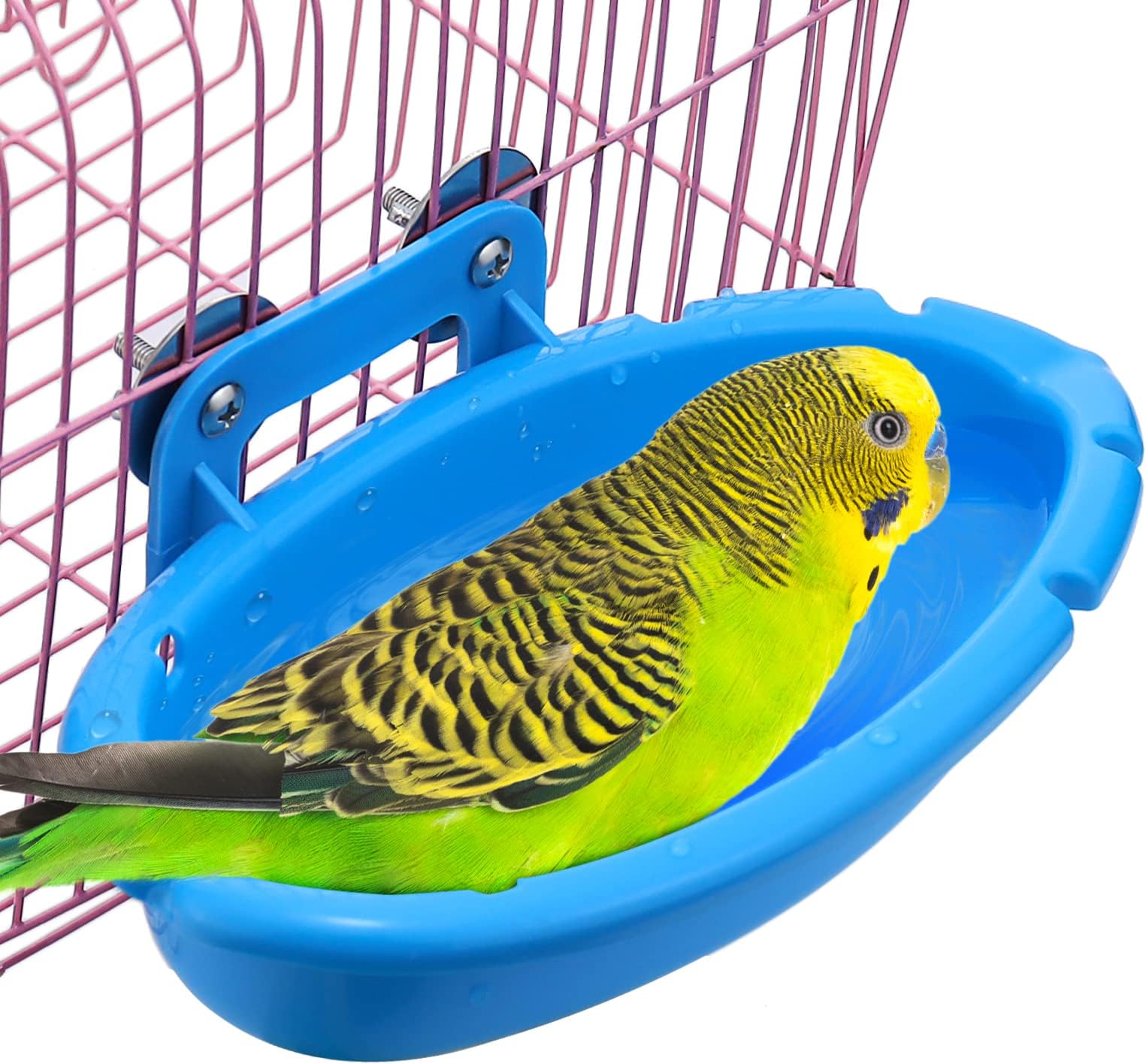 Rosewood Boredom Breaker Budgie On Spring Bird Toy : Amazon.co.uk: Pet ...