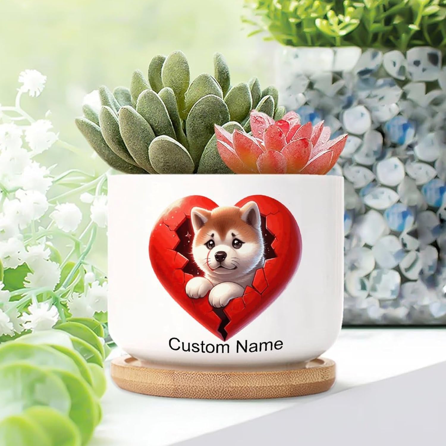 Amazon.com: WoGuangis 2 Pack Custom Name Small Ceramic Planters for ...