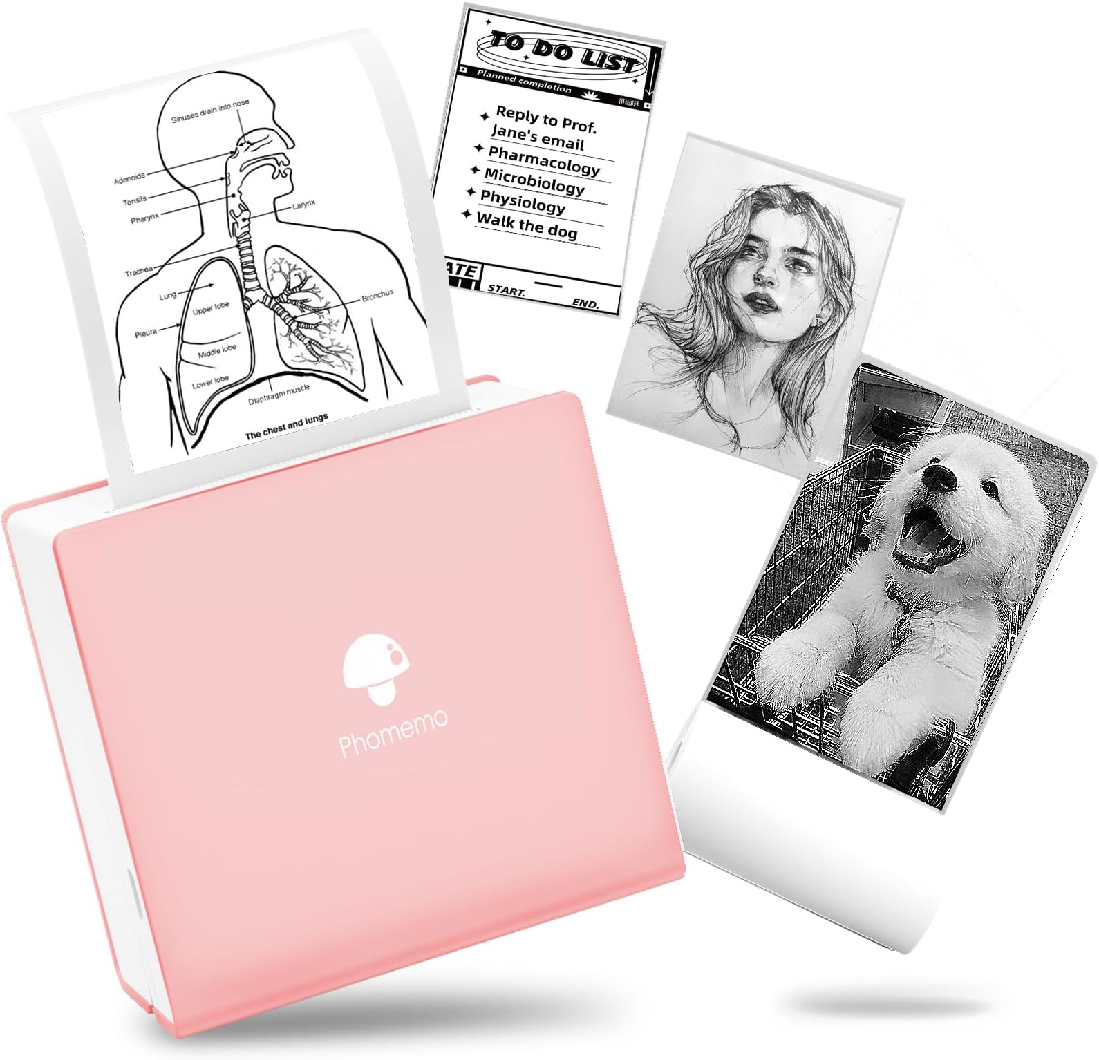 Amazon.com: mafiti Portable Thermal Pocket Printer Inkless Bluetooth ...