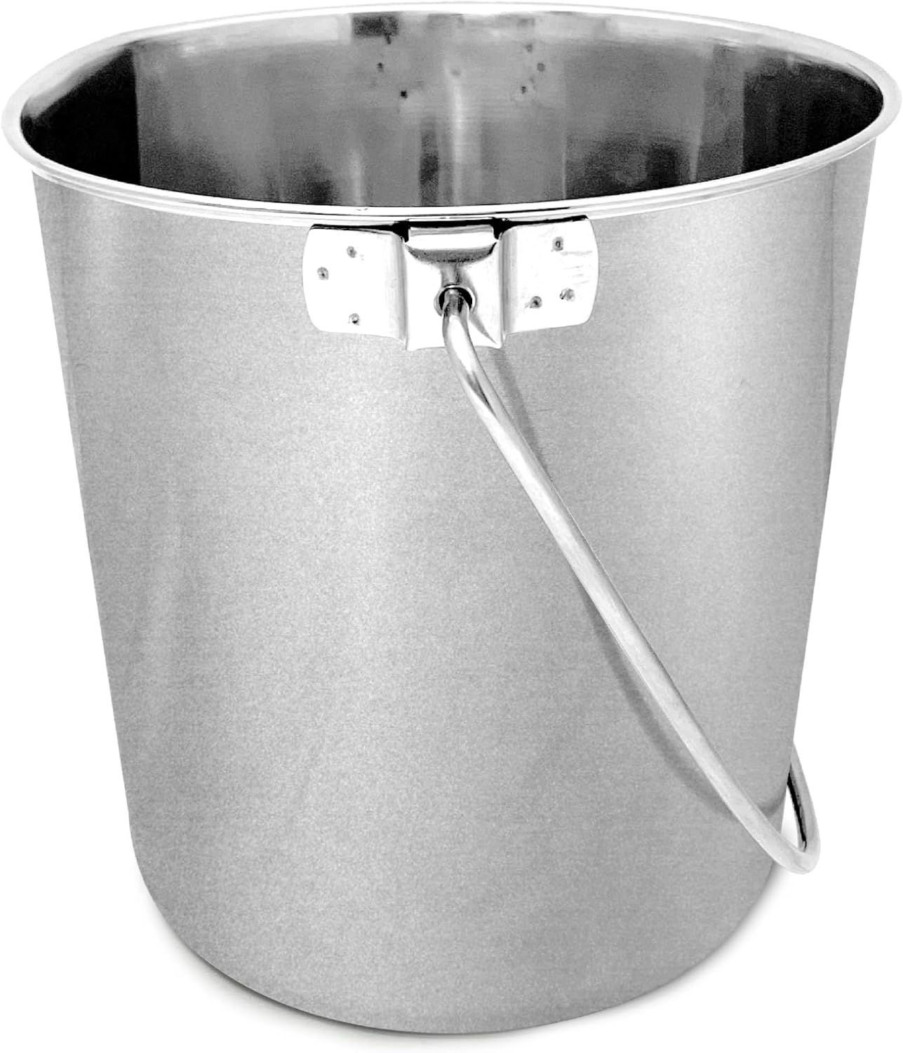 Amazon.com: PetYupp Heavy Duty Stainless Steel Bucket for Dogs - 2 ...