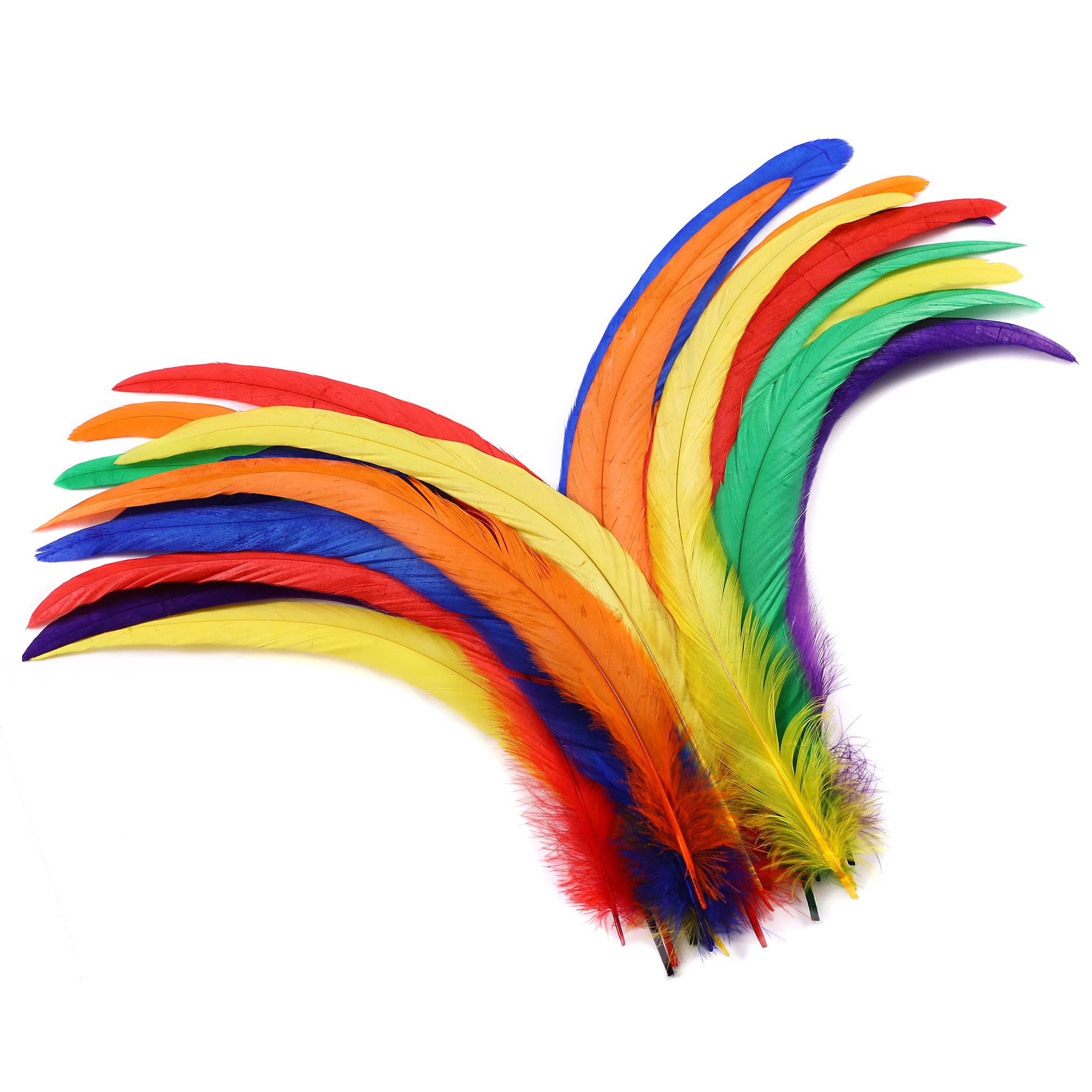 Amazon.com: Holmgren Colorful Rooster Tail Feathers - 60pcs 12-14inch ...