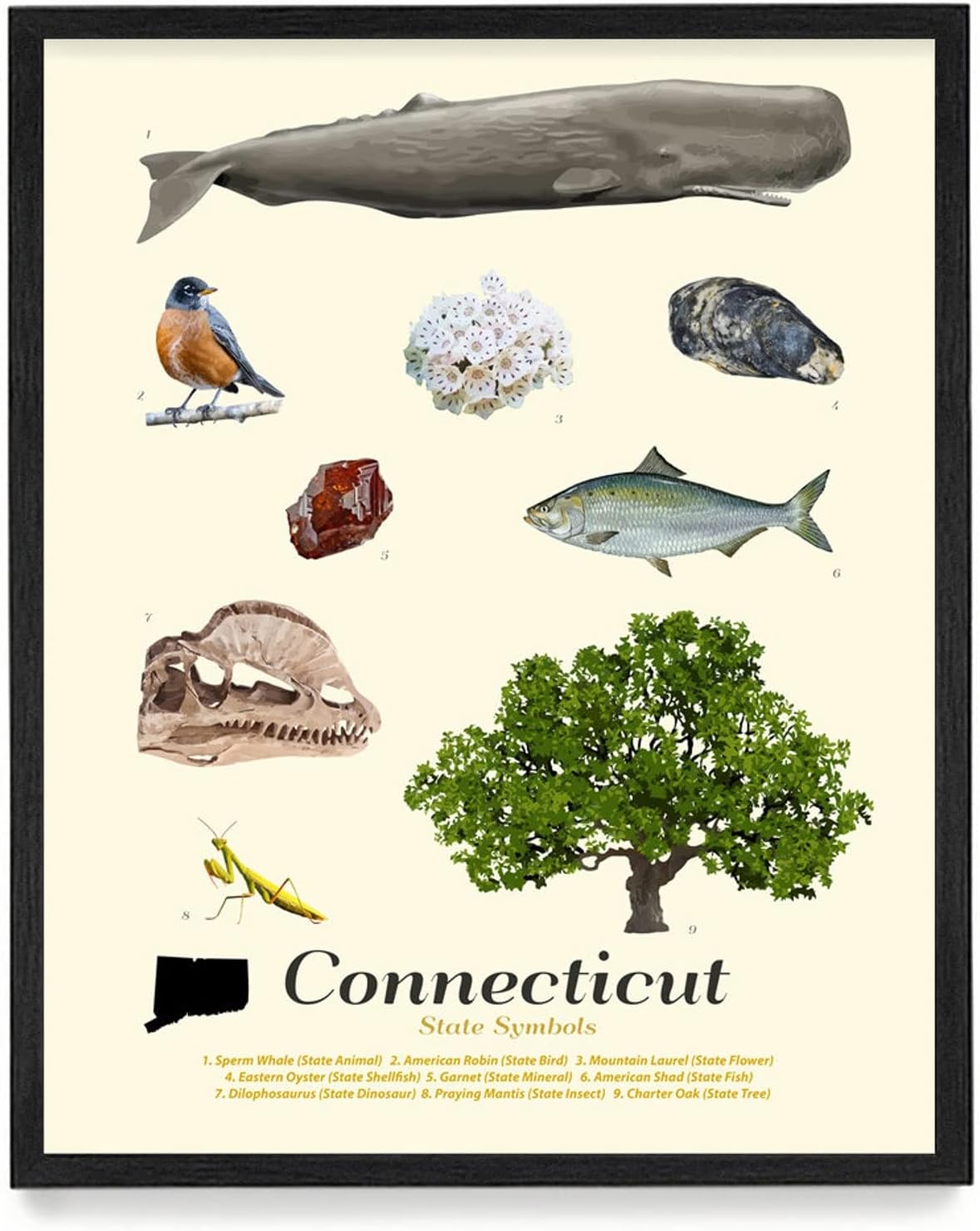 Amazon.com: WUNDERKAMMER STUDIO - Connecticut State Symbols Poster ...