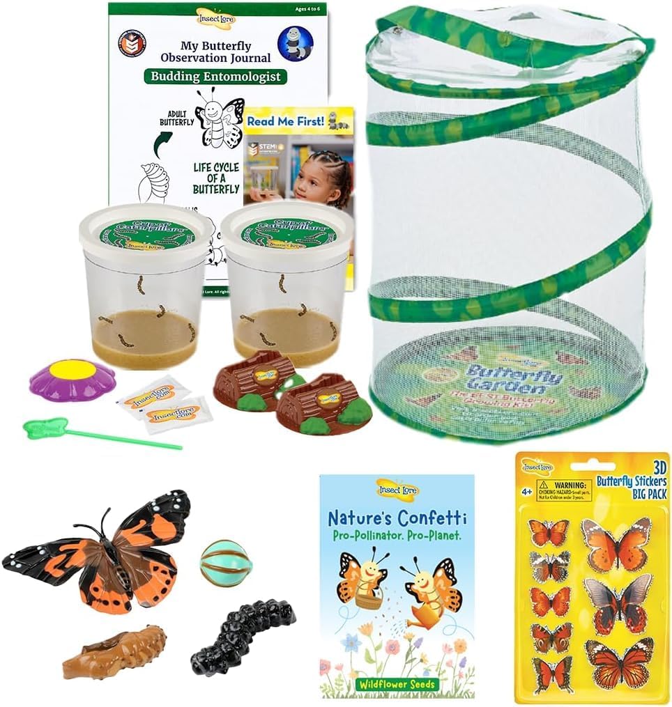 Amazon.com: Insect Lore Butterfly Garden As Seen On TV | Butterfly Kit ...