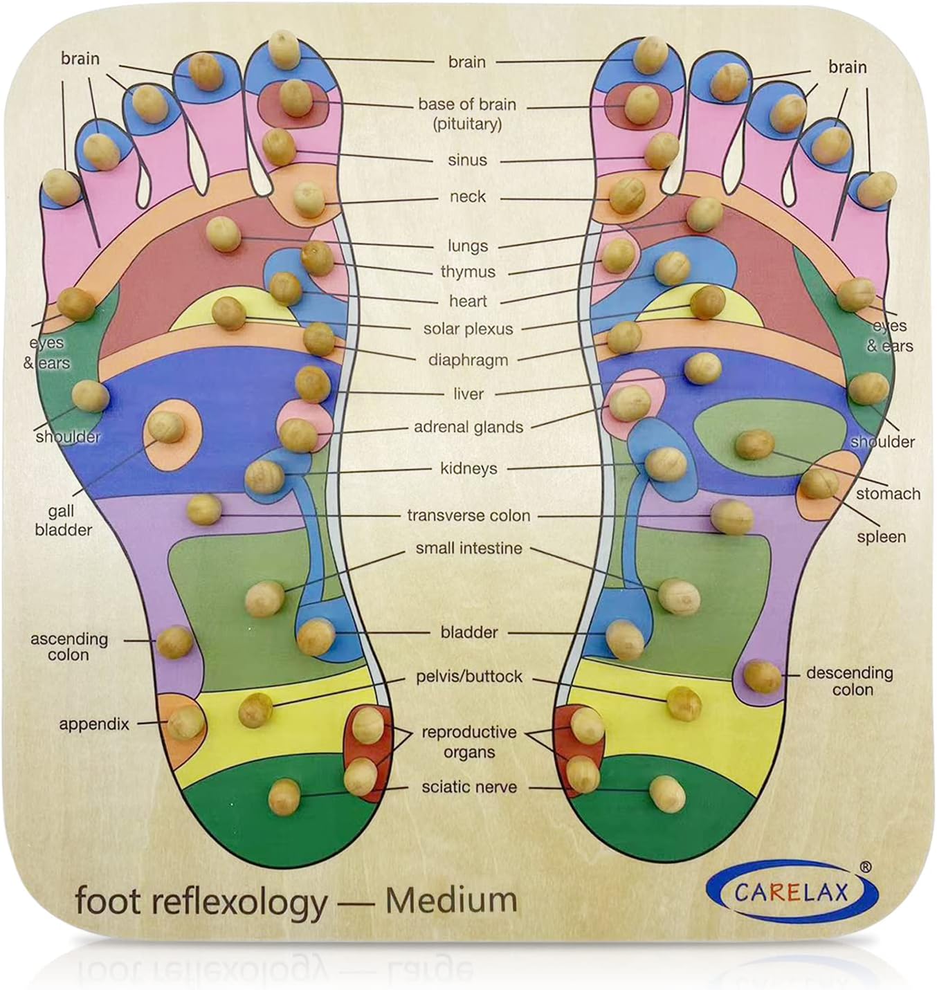 Amazon.com: CARELAX Foot Roller Massager Tools, Reflexology Board Foot ...