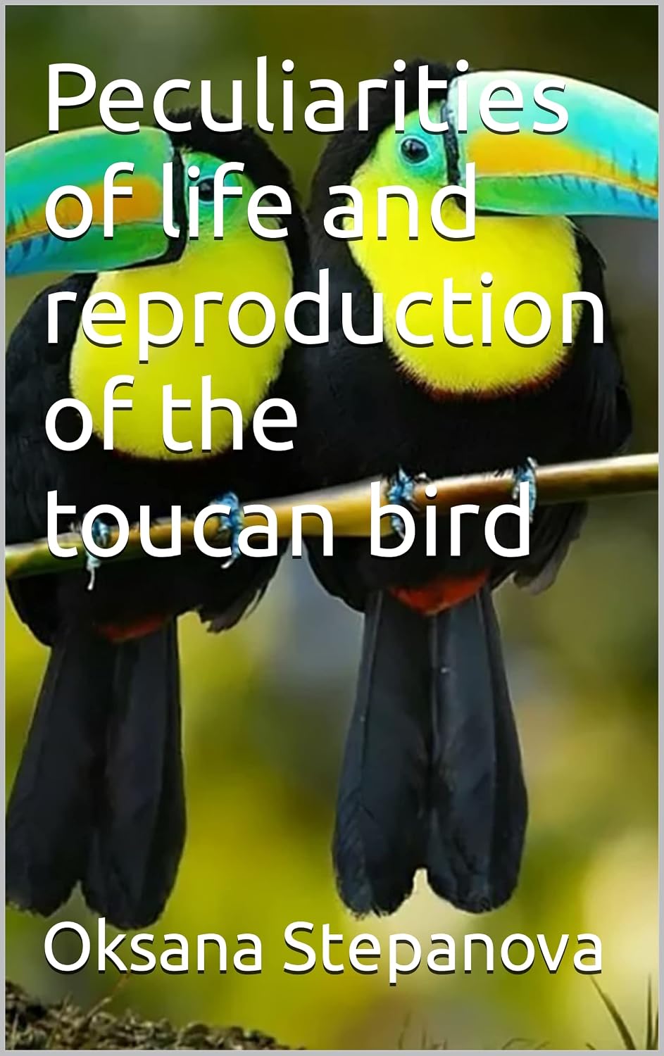 Amazon.com: Peculiarities of life and reproduction of the toucan bird ...