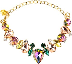 Amazon.com : HOWWFALY Dog Collar and Cat Collar Gold Chain Necklace Stainless Steel Adjustable ...