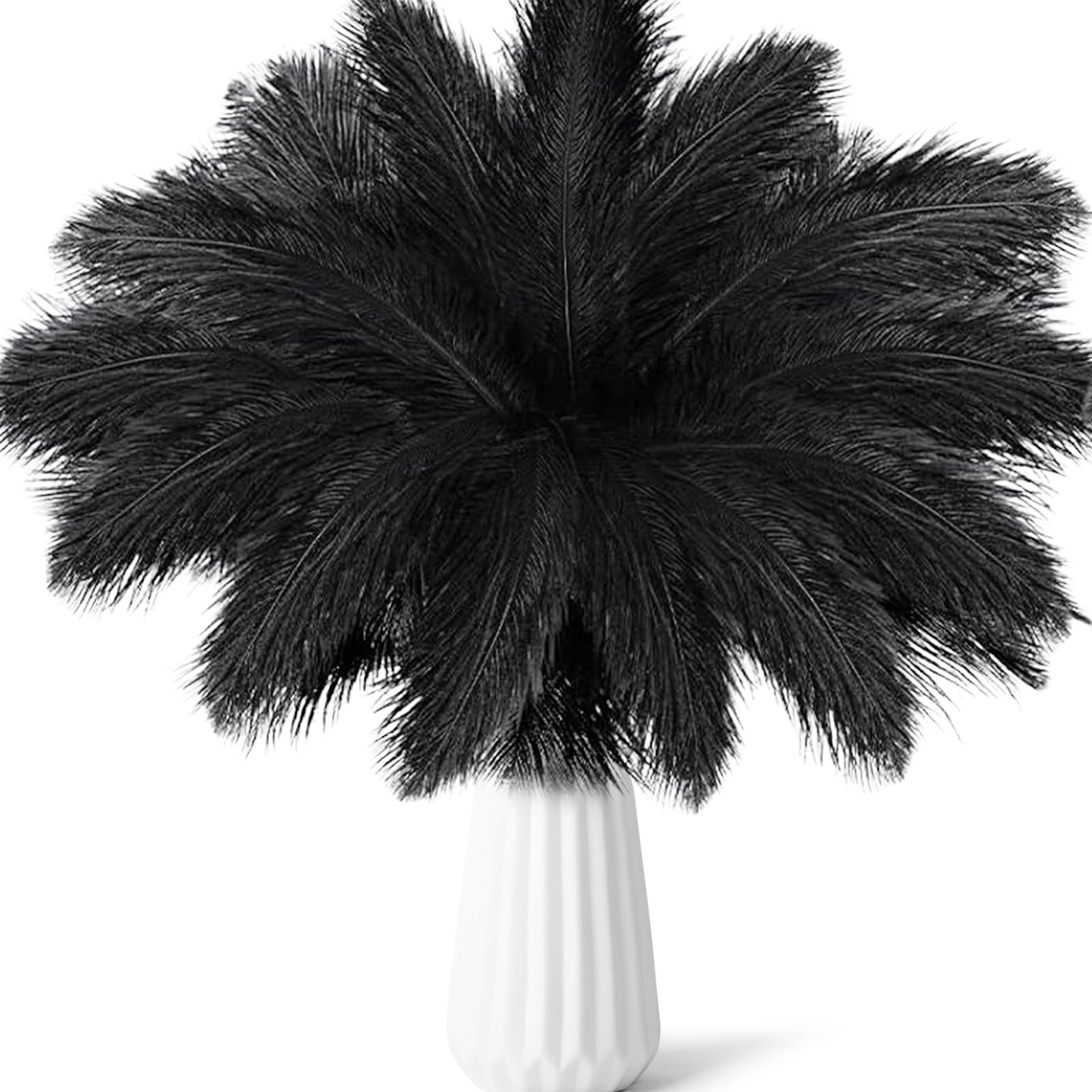 Amazon.com: Rgontar 10-12 inches Black Ostrich Feather,Large Natural ...