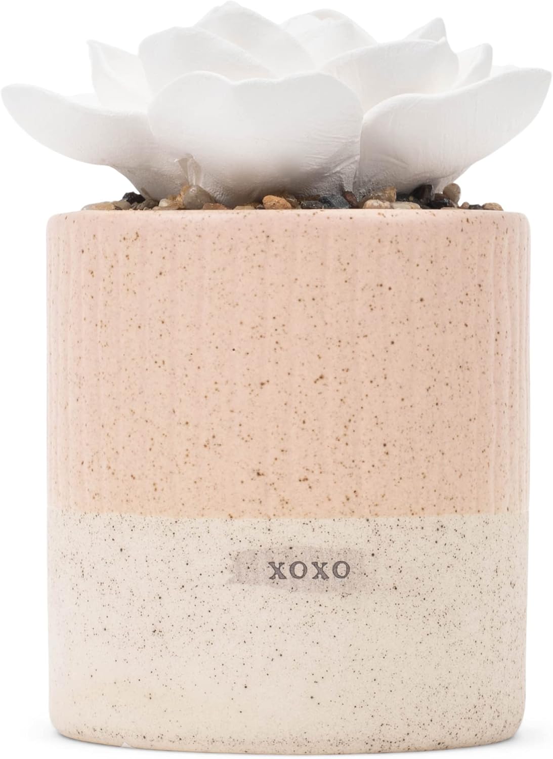 Amazon.com: Demdaco Succulent Oil Diffuser - XOXO : Home & Kitchen