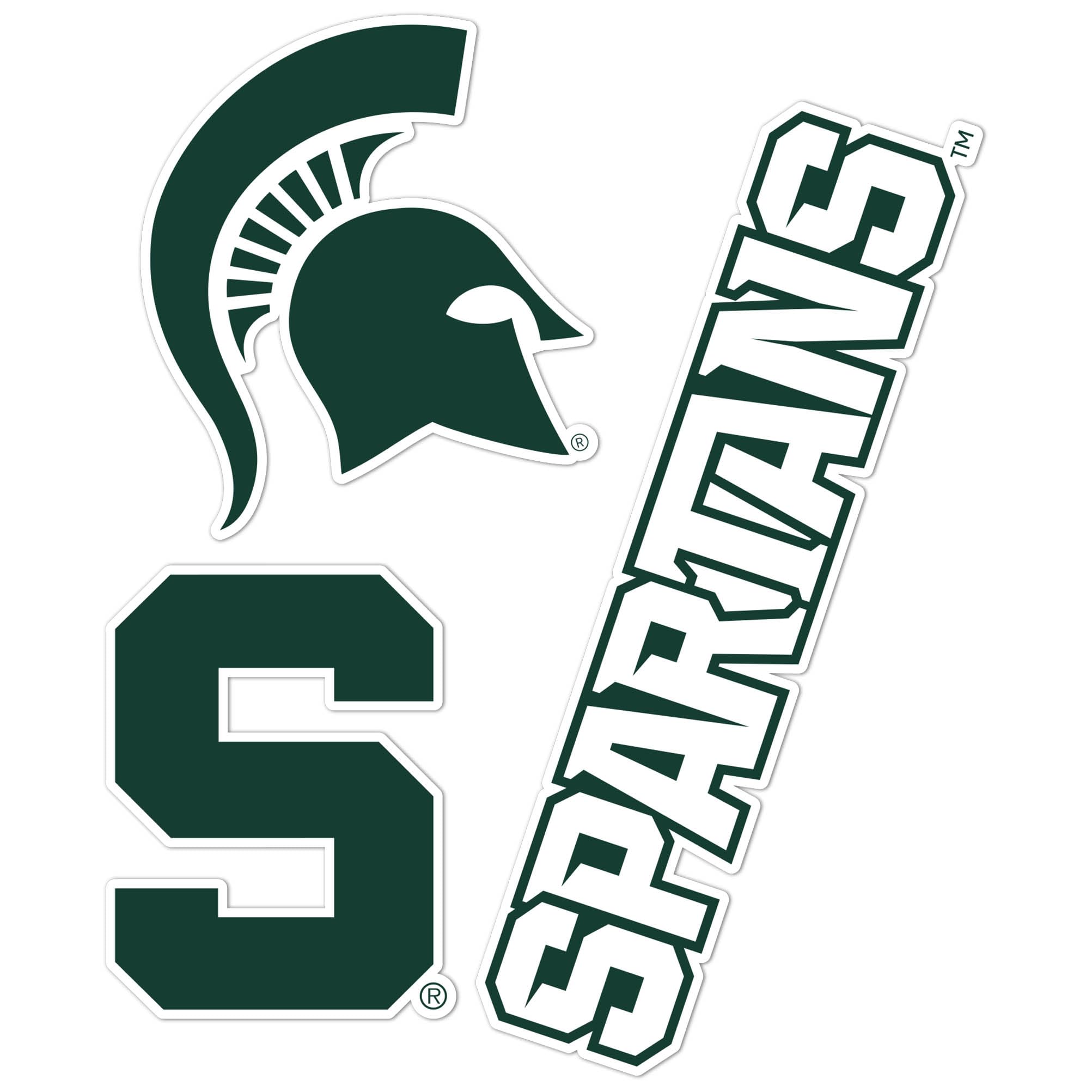 Amazon.com: Desert Cactus Michigan State University Stickers Spartans ...