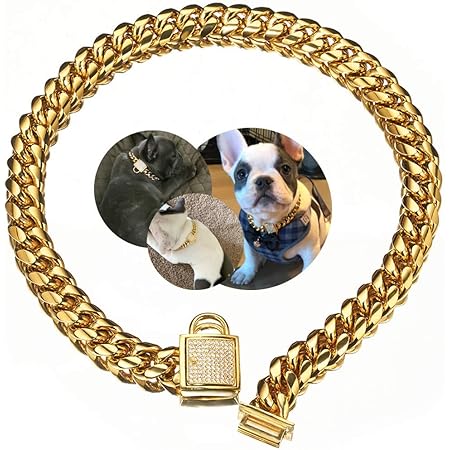Amazon.com : Designer Dog Collar Gold Metal Stainless Steel with ...