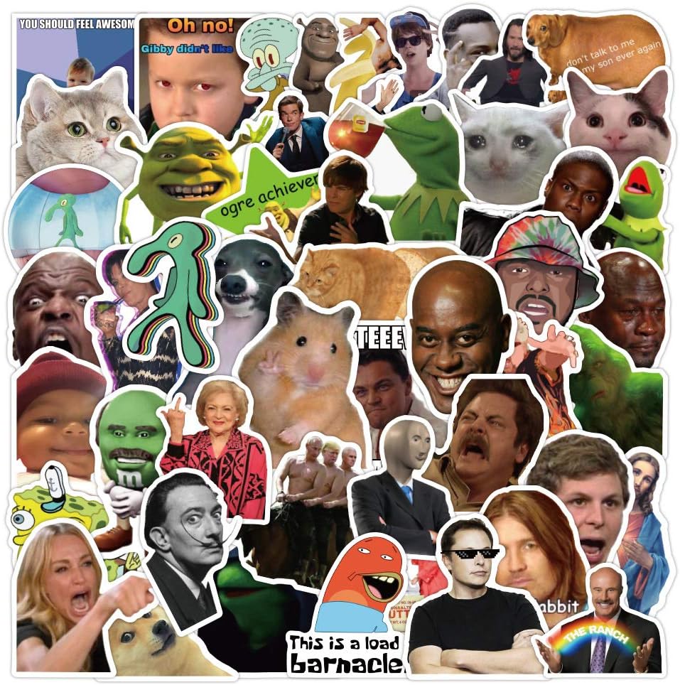 LYunMu 100pcs Funny Meme Vinyl Stickers Pack,DIY Decor for Bumper Wall ...