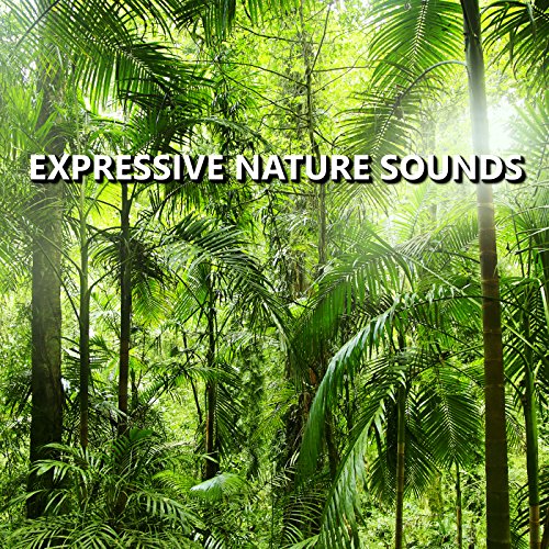 Amazon.com: Expressive Nature Sounds : Nature Sounds: Digital Music