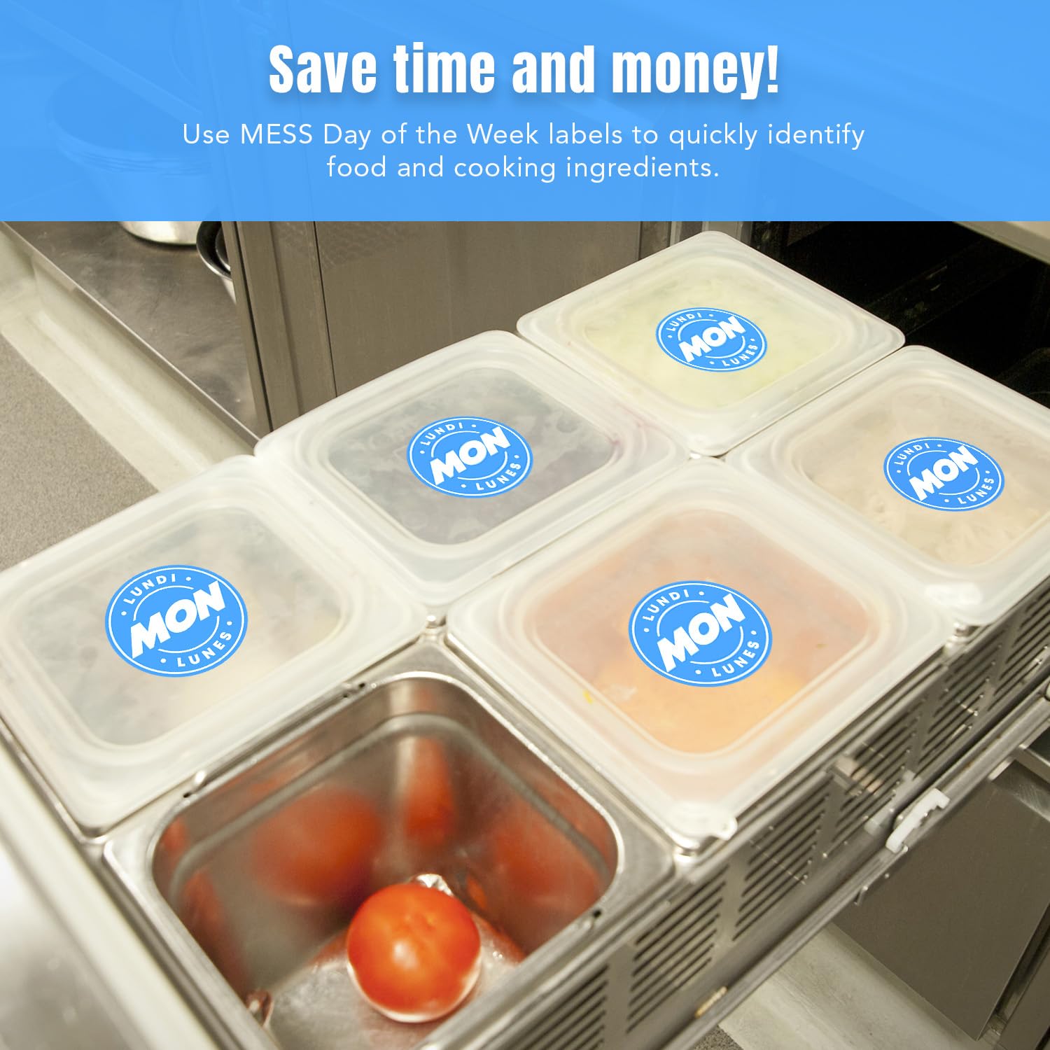 Snapklik.com : MESS Days Of The Week Stickers - Day Dots Food Labels