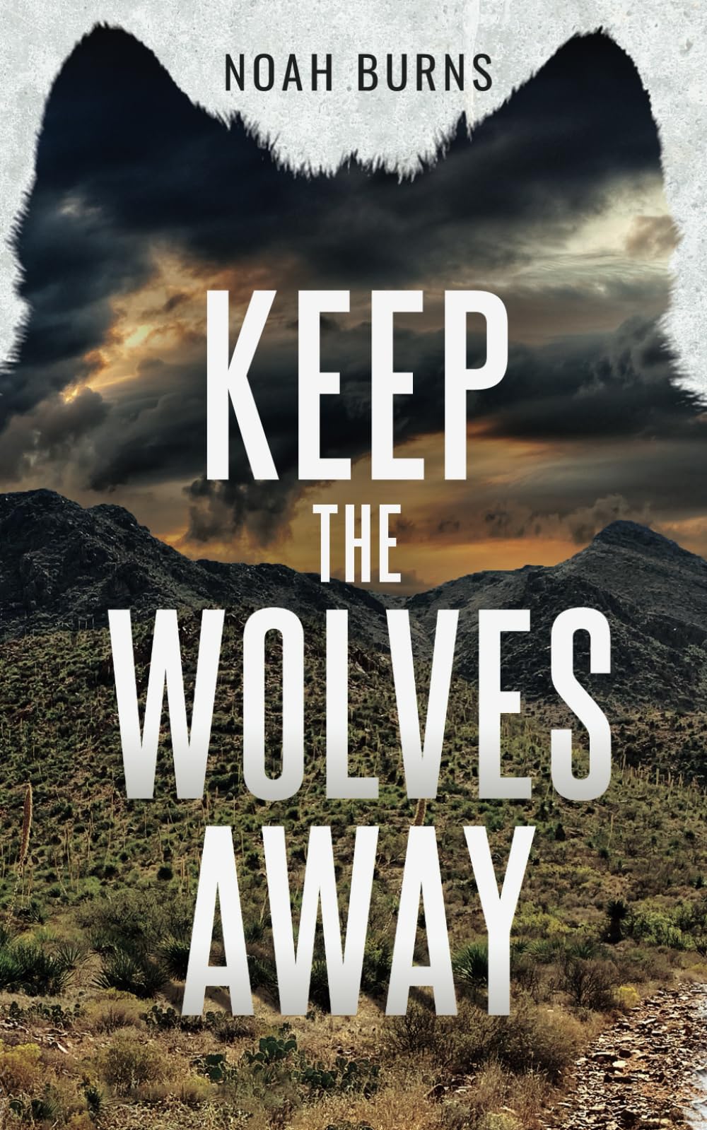 Amazon.com: Keep the Wolves Away: 9798990941700: Burns, Noah: Books