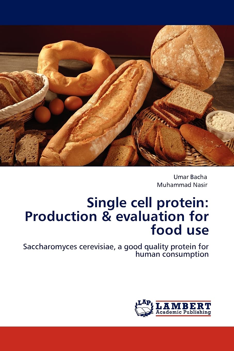 Single cell protein: Production & evaluation for food use ...