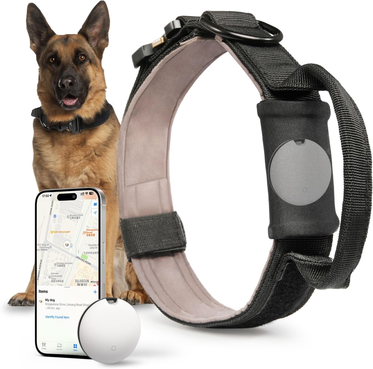 Amazon.com: GWORLD i tag Collar de perro sin alquiler mensual rastreadores GPS para perros (solo ...