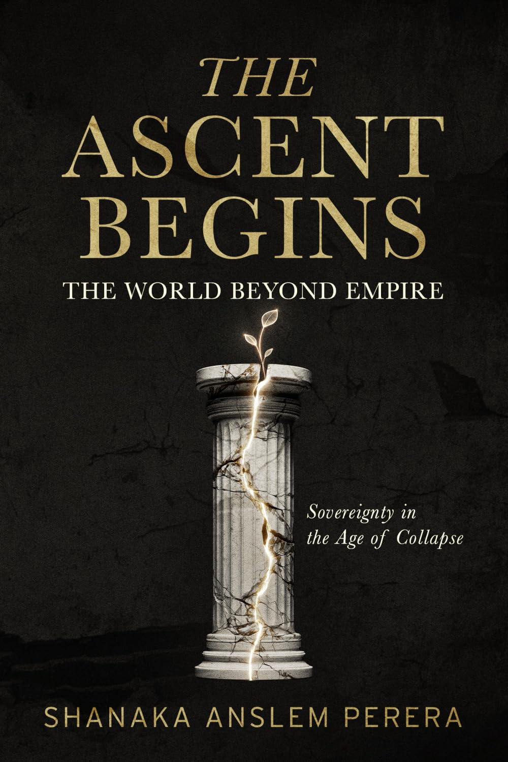 The Ascent Begins: The World Beyond Empire — Sovereignty in the Age of ...