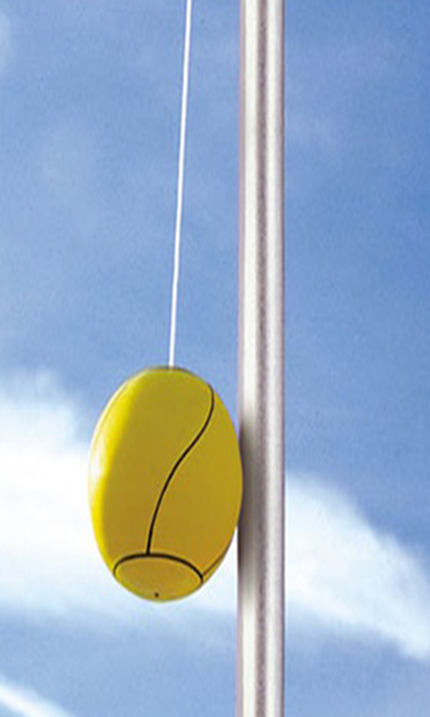 Rules to play Tetherball - App on Amazon Appstore