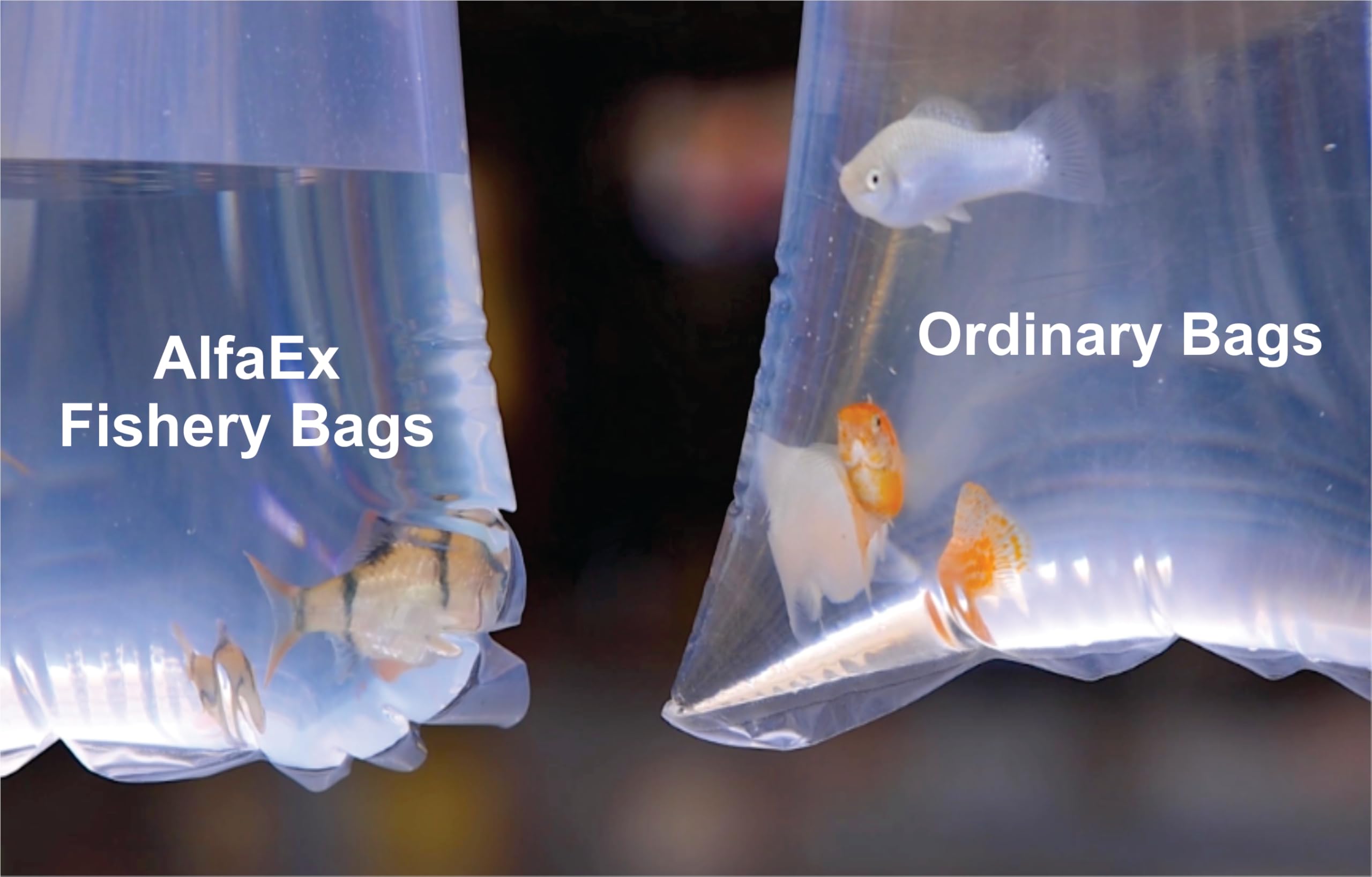 Snapklik.com : AlfaEx Fishery Bags 12 Inches Leak Proof Rounded Bottom ...