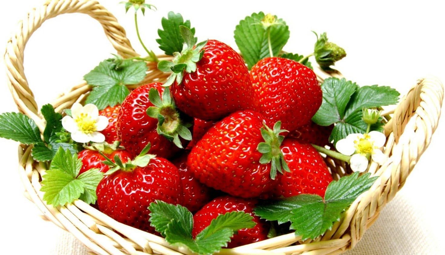 Amazon.com : Anne Golden Raspberry Plants-Bare Root Canes–Sweet ...