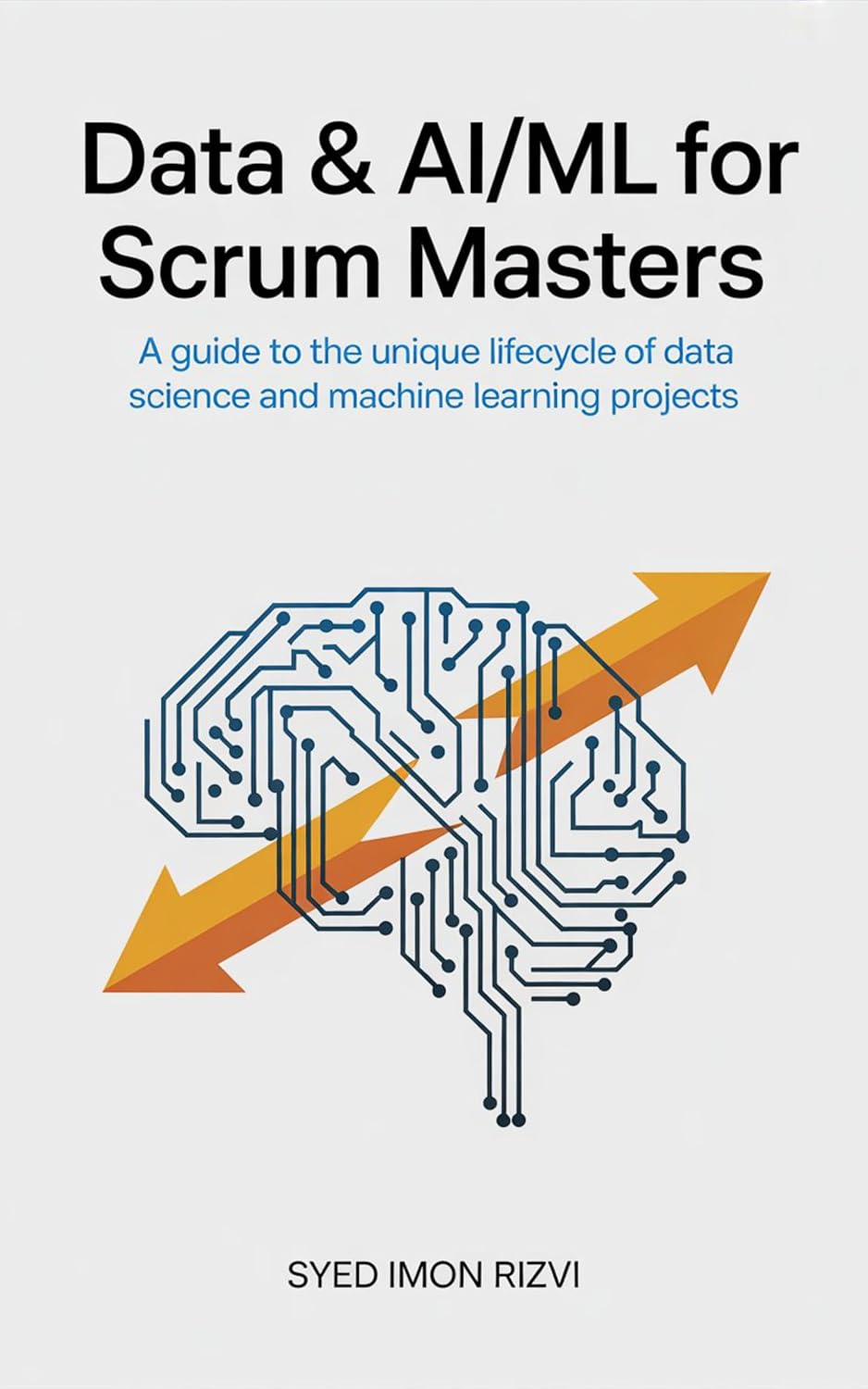 Data & AI/ML for Scrum Masters: A Guide to the Unique Lifecycle of Data ...