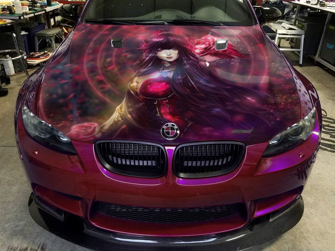 Amazon.com: Stikka Vinyl Sticker Car Hood Wrap Full Color Graphics ...